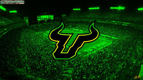 USF South Florida Bulls